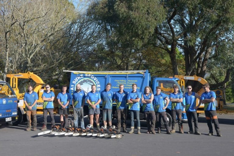 Auckland's Leading Arborist - Tree Removal & Tree Services